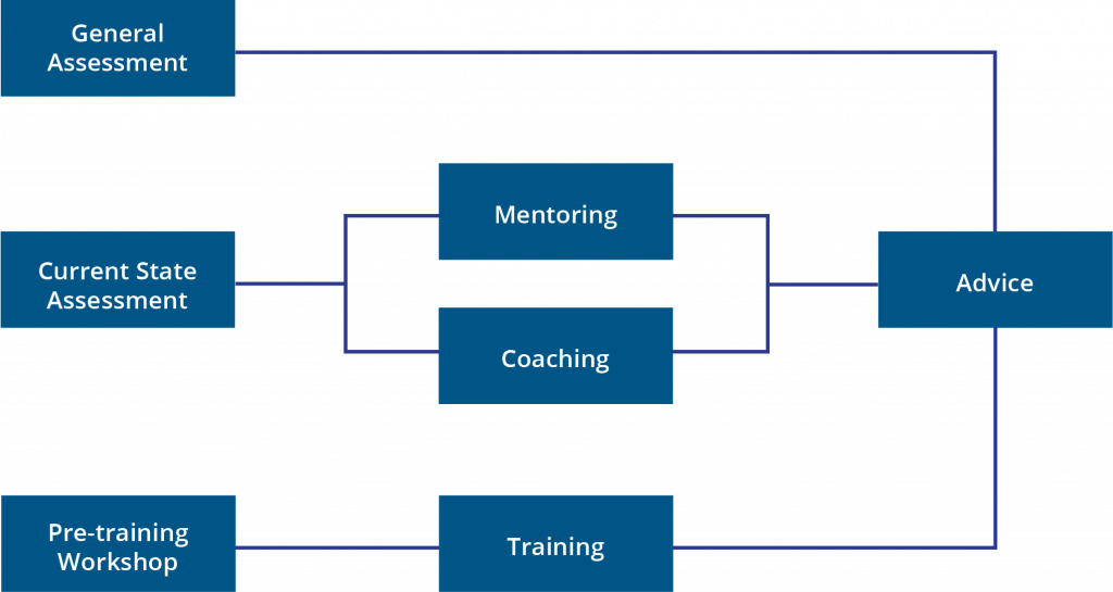 Project Training Services - Project Mentors